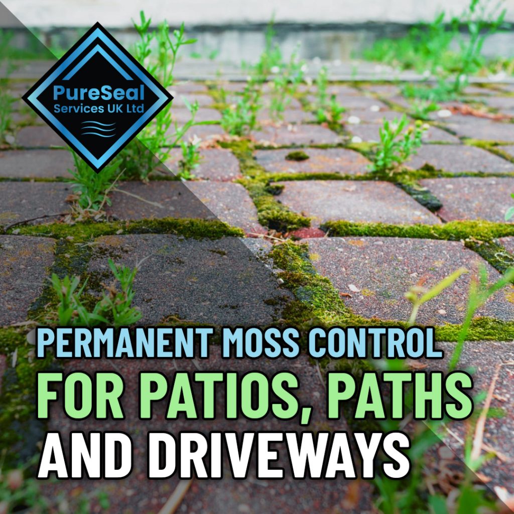 Permanent Moss Control for Patios, Paths and Driveways